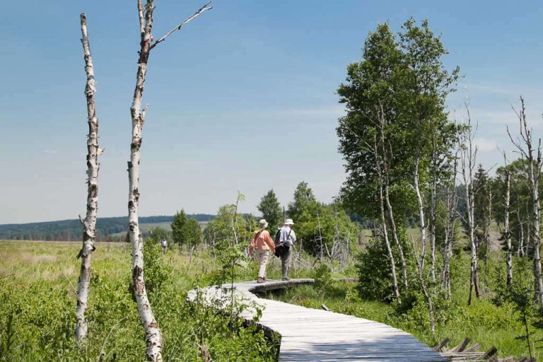 Wandelen in de Hoge Venen | De mooiste routes · Wandelingen.info