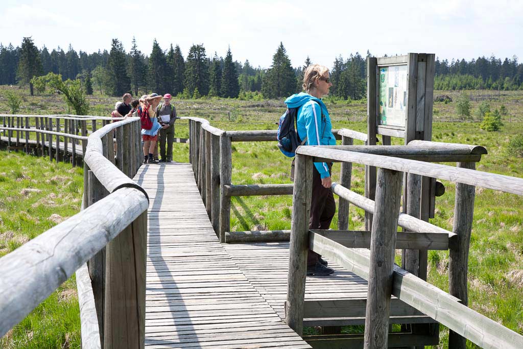 Wandelen in de Hoge Venen · mooiste routes · Wandelingen.info